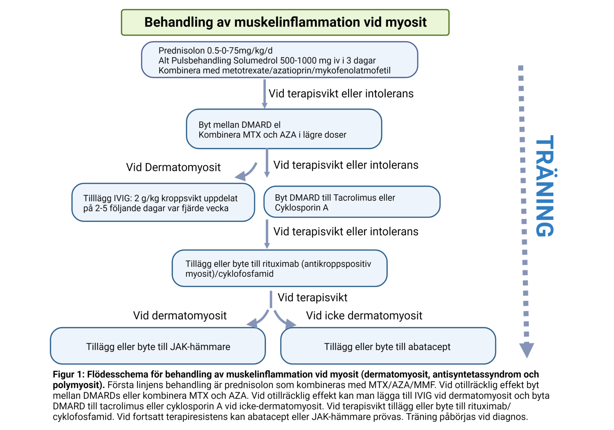Behandling av manifestationer vid myosit