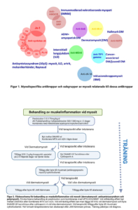 Behandling av manifestationer vid myosit.