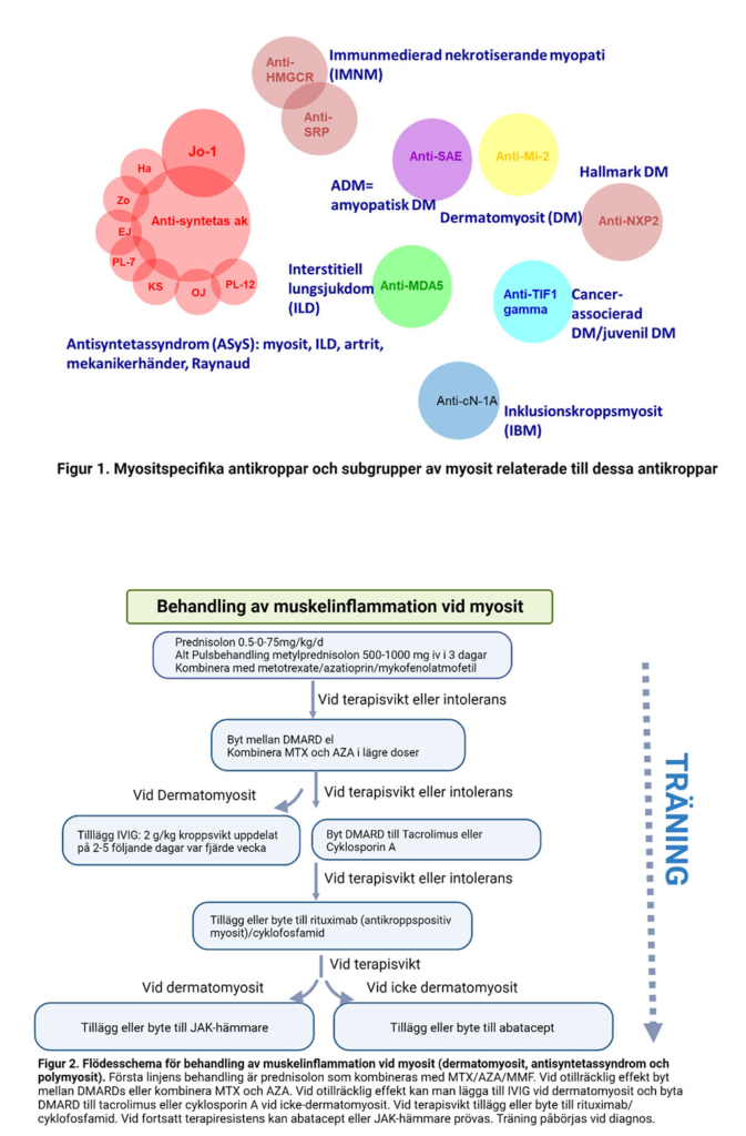 Behandling av manifestationer vid myosit.